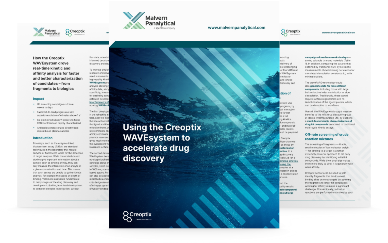 Accelerating Drug Discovery With Real-Time Kinetic and Affinity Analysis